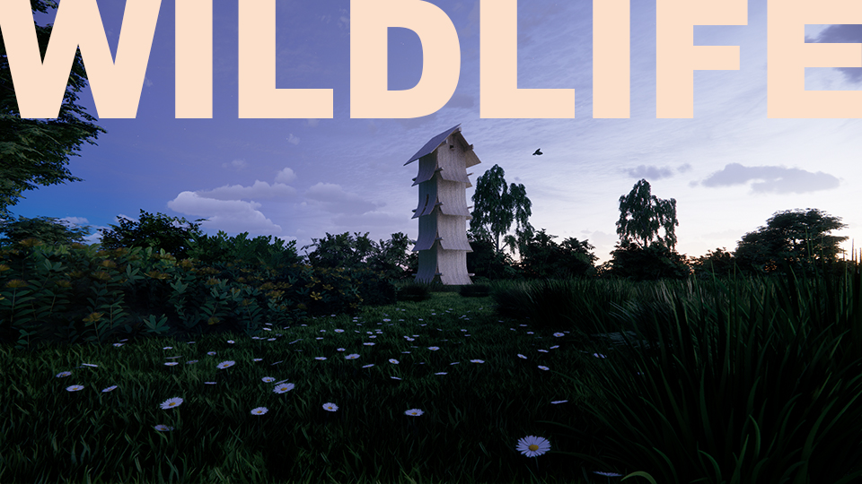 Wildlife – NATURAL BUILDING STUDIO