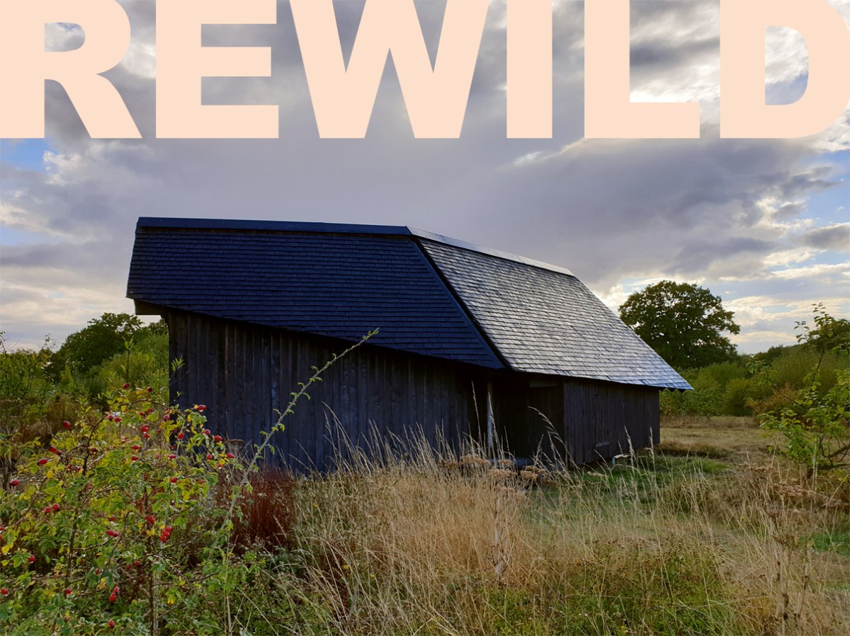 Rewild – NATURAL BUILDING STUDIO